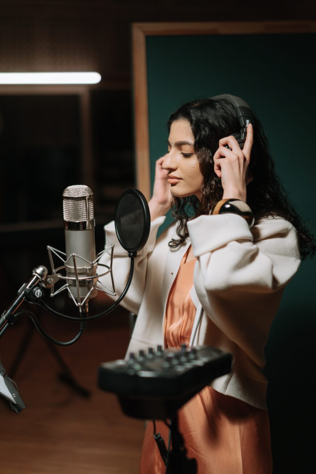 Professional Audiobook Narrators Association – By Narrators, For Narrators